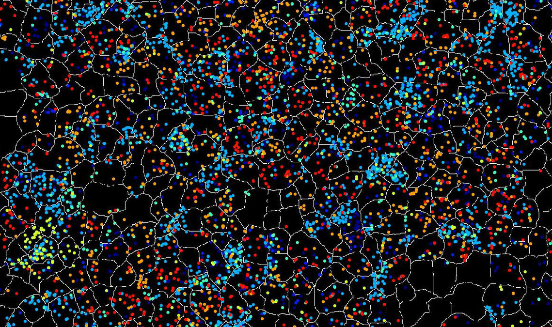 Analysis And Visualization Of Spatial Transcriptomic Data