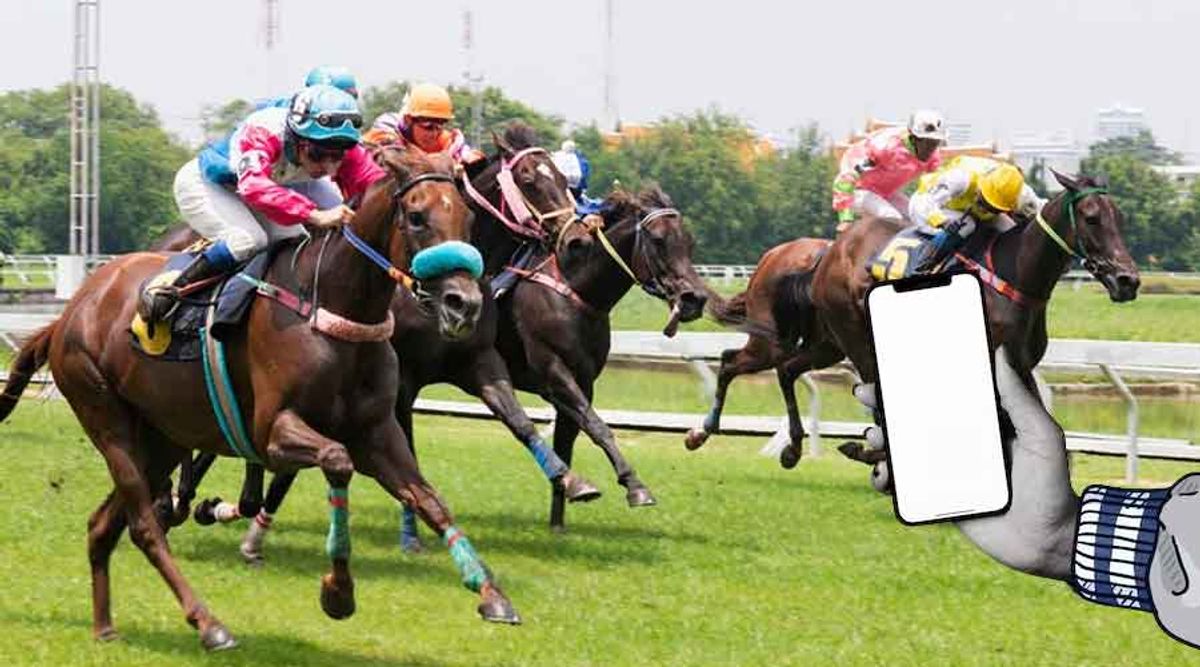 How to Place a Horse Racing Bet Online