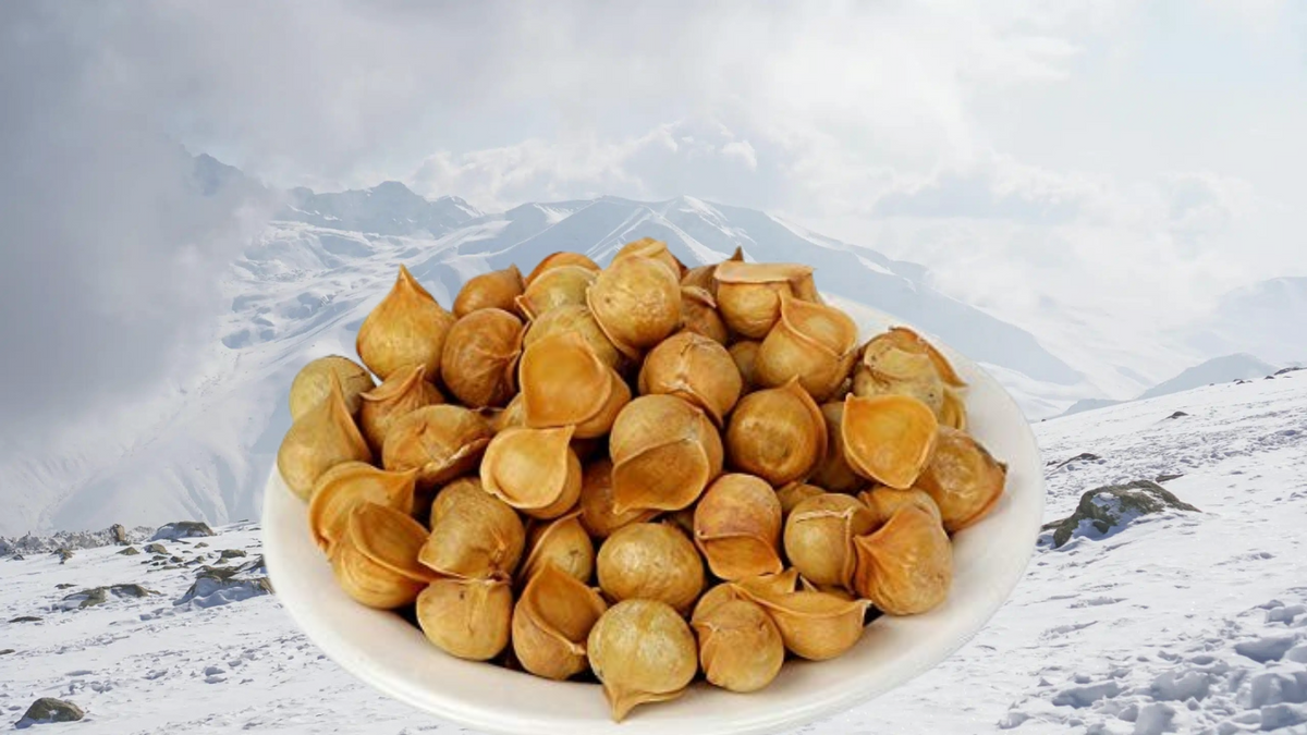 Discover the Power of Kashmiri Snow Mountain Garlic: A Superfood Treasure