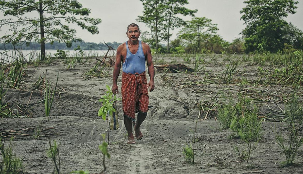 Here's how Jadav Payeng, aka the Forest Man of India, planted an entire ...