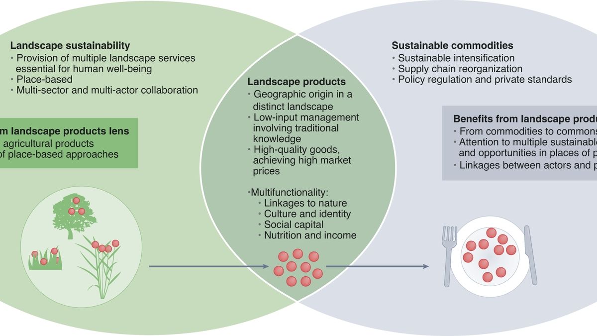 The Global Rise of Sustainable Landscape Management – Green Reporter