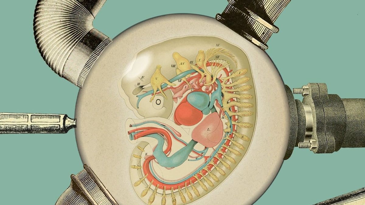 Artificial Womb Technology: A Revolutionary Change in Human ...