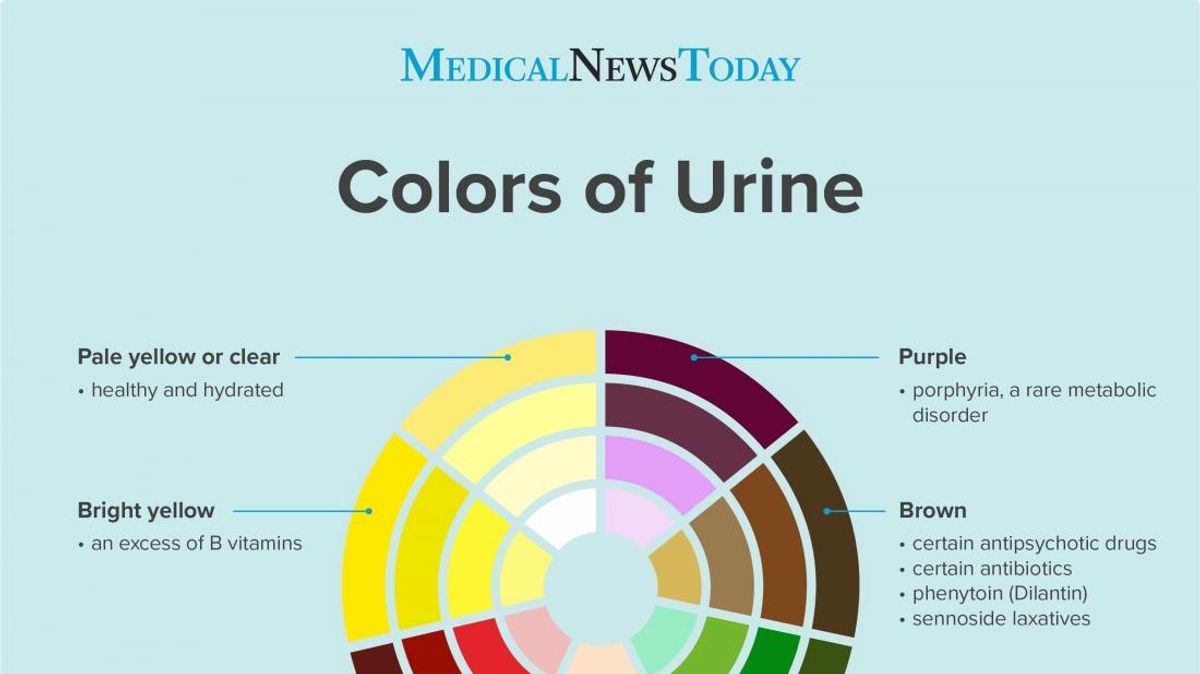 Understanding Urine Color and Smell: Indicators of Your Health