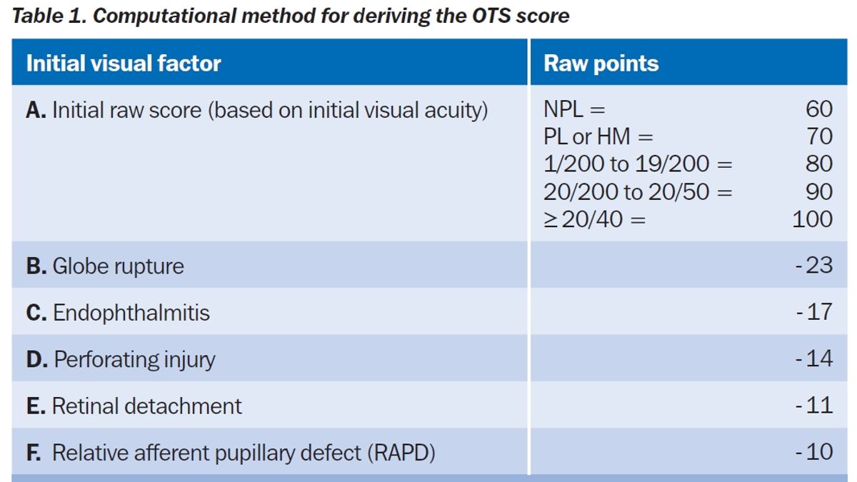 Understanding Ocular Trauma and its Impact on Visual Outcomes: A ...