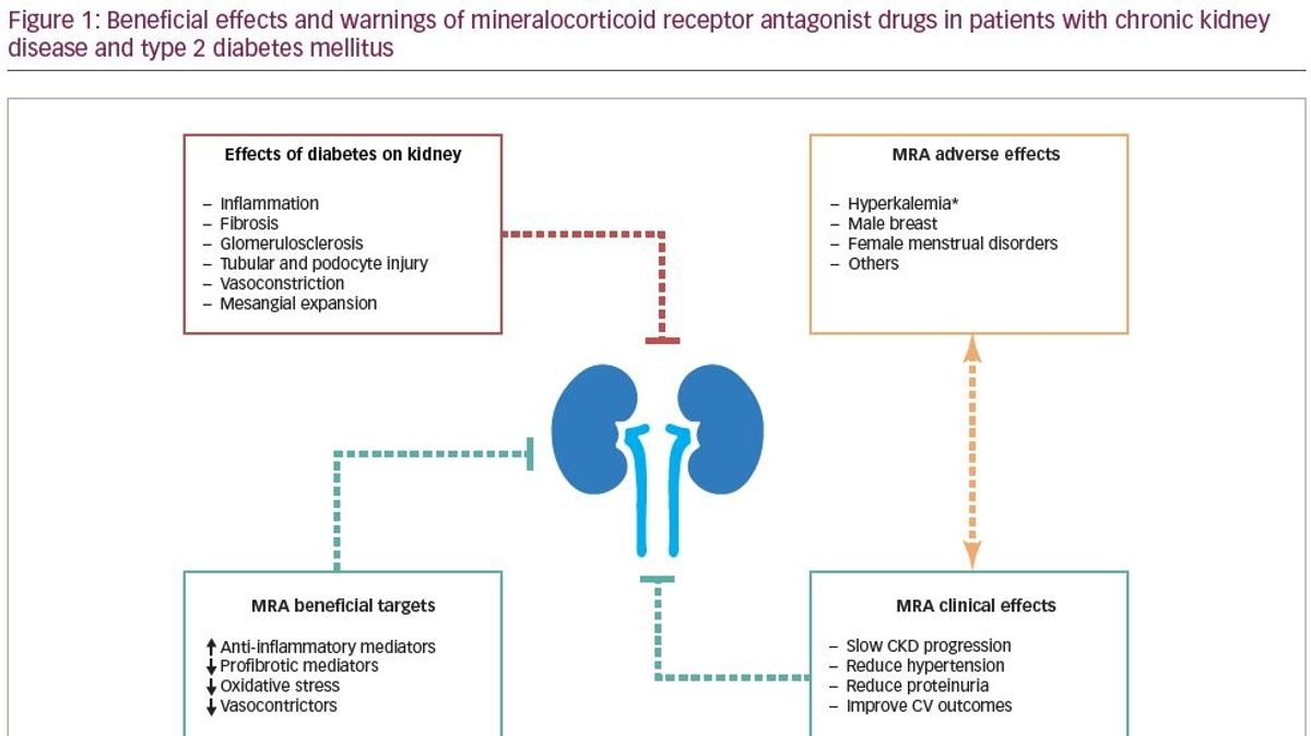 The Impact of Finerenone on Chronic Kidney Disease and Type 2 Diabetes ...