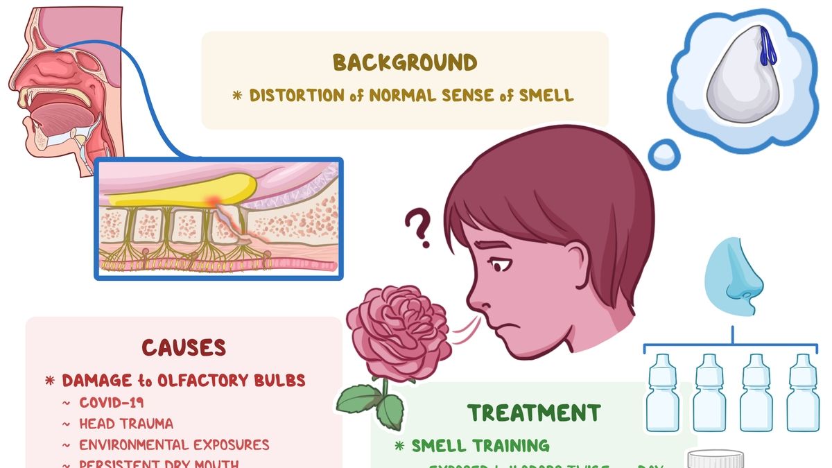 Understanding and Managing Phantosmia: The Phantom Smell Disorder