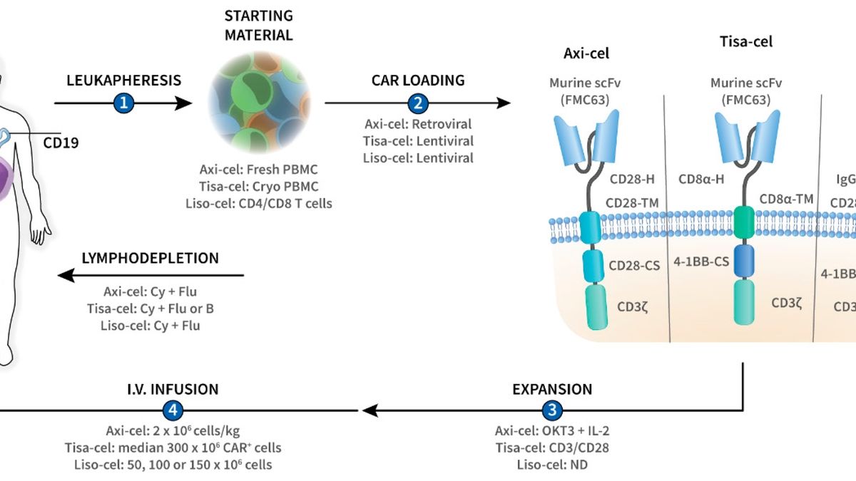 B Cell Gene Expression Signatures: A Potential Predictor of Axi-cel ...