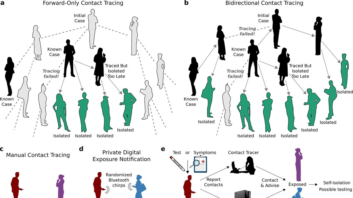 The Role and Limitations of Contact Tracing in Controlling Epidemics ...