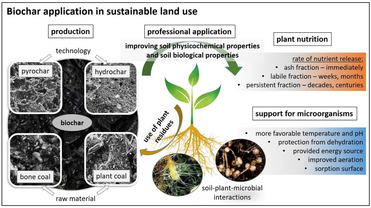 Understanding The Potential And Applications Of Fabricated Biochar And