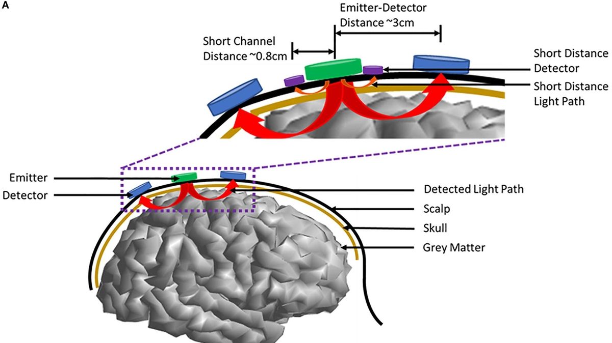 Unlocking The Potential Of Functional Near Infrared Spectroscopy Fnirs In Brain Activity