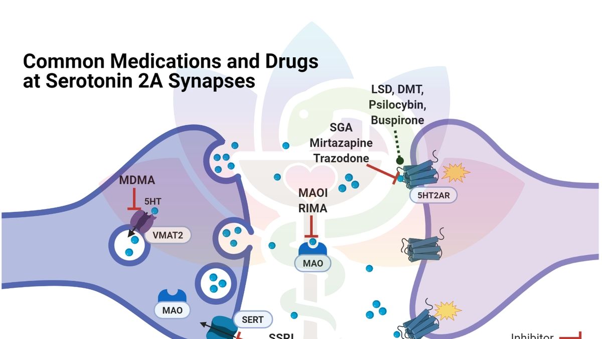 Unlocking the Antidepressant Potential of Psychedelics: A Closer Look ...