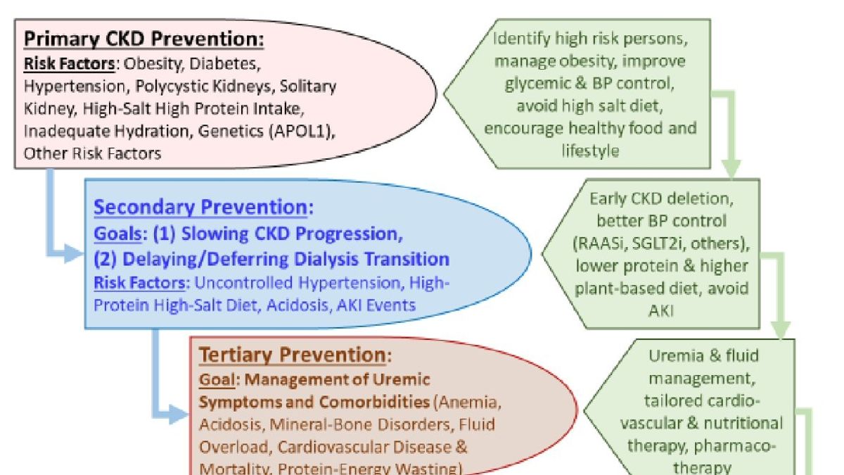 Strategies for Secondary Prevention of Chronic Kidney Disease: A Global ...