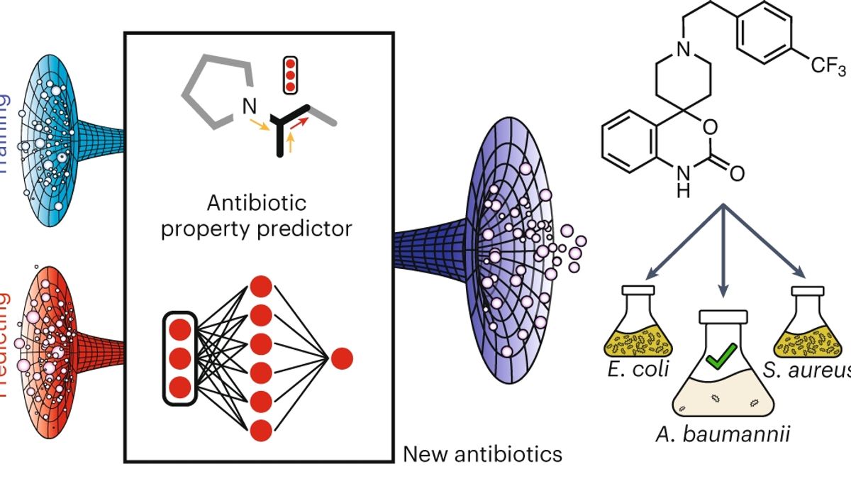 Harnessing The Power Of Explainable Deep Learning In Antibiotic Discovery