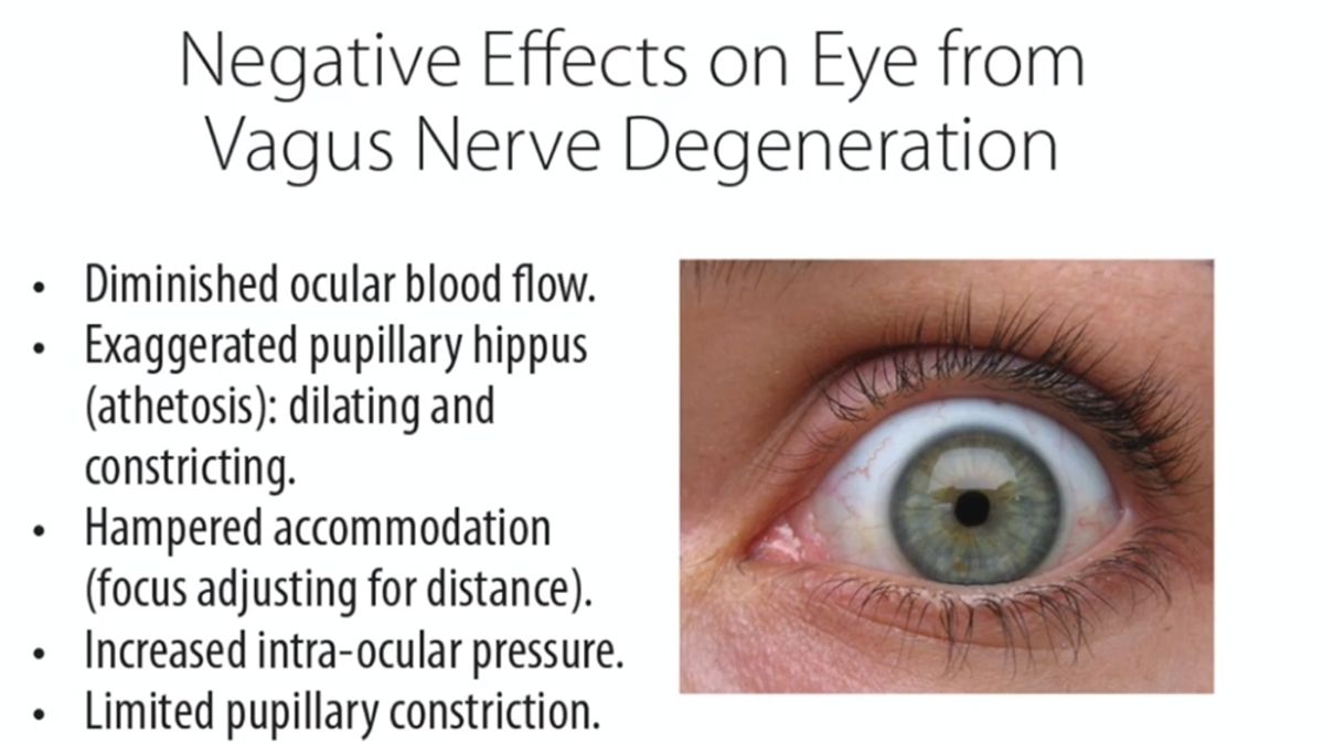 The Importance of Timely Intervention for Sudden Vision Loss and Eye Pain