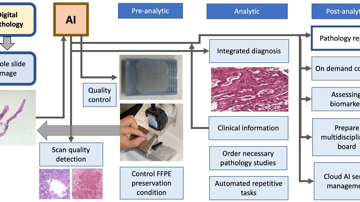 Ai Transforming Histopathology Progress Challenges And Future 