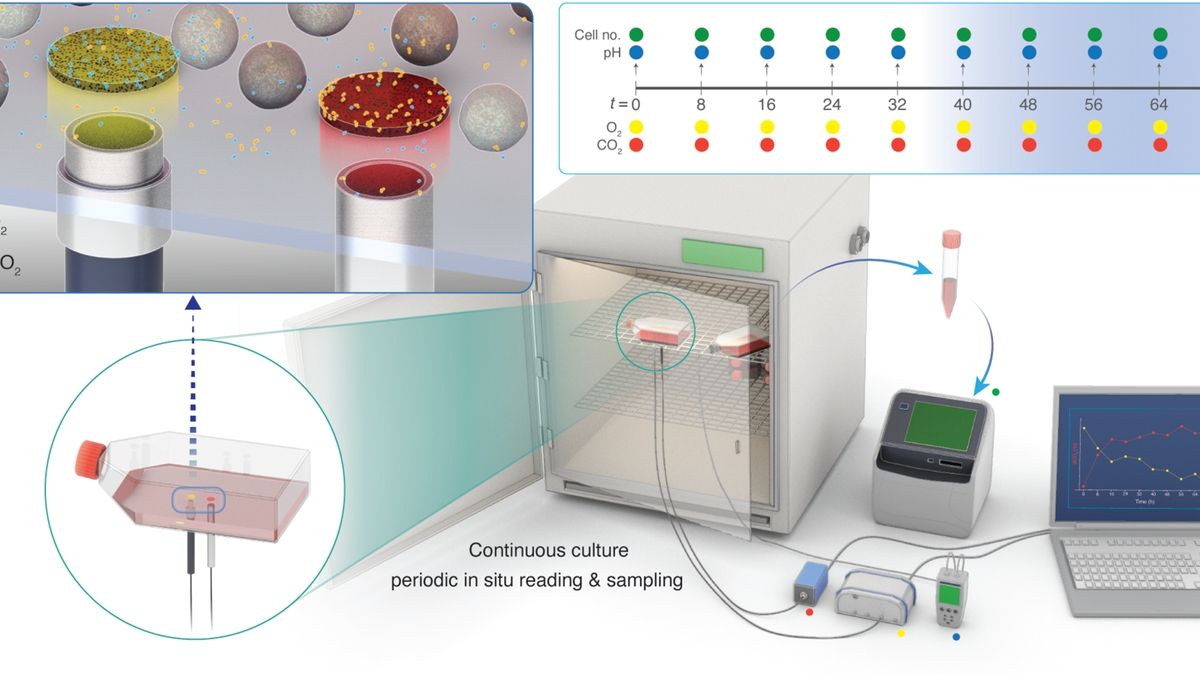 Revolutionizing Personalized Medicine: A New All-in-One Sensor System ...