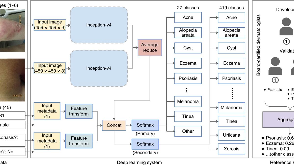 Leveraging Deep Learning for Skin Disease Diagnosis: A New Dawn in ...