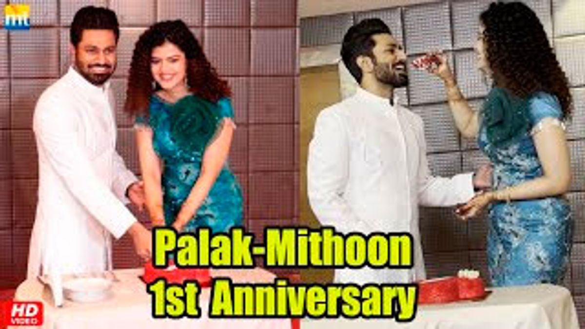 Singer Palak Muchhal & Mithoon Celebrate 1st Wedding Anniversary With ...