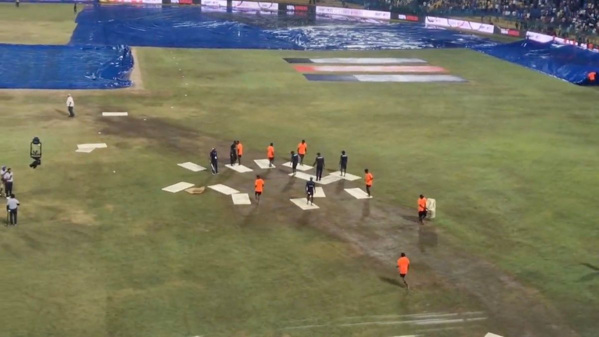 What the Giant Rat of Sumatra has in common with the Cricket Scam of ...