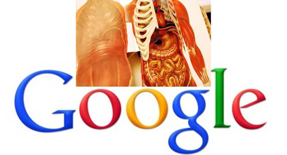 Scientists create 'Google Maps' for human body