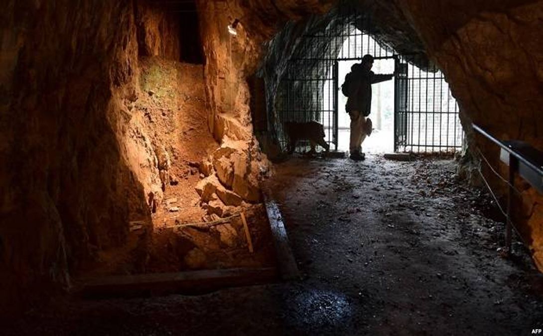 Human DNA discovered in caves, reveals about human evolution and history