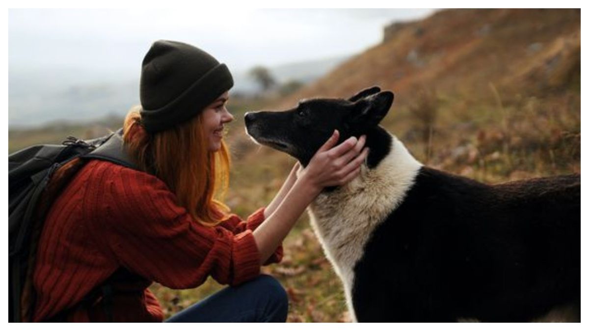Busted! Dogs Actually Know When Youâ€™re Lying About How Many Snacks ...