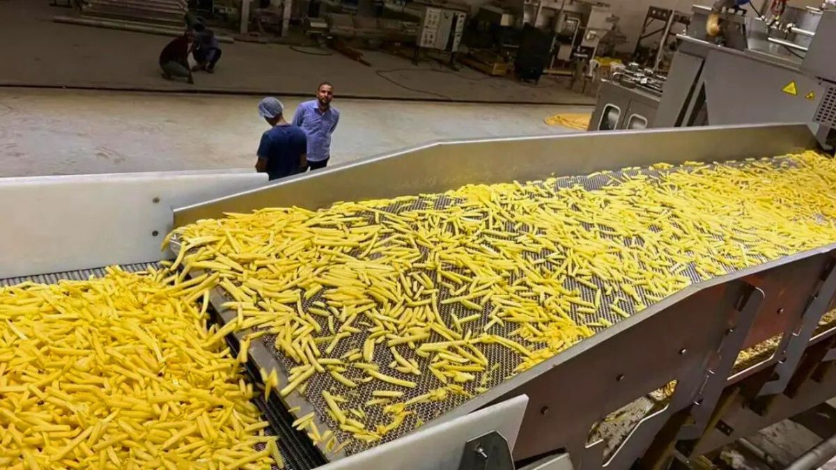 Invest In UP: Agristo Masa का बड़ा निवेश, बिजनौर में 750 करोड़ रुपये की ...