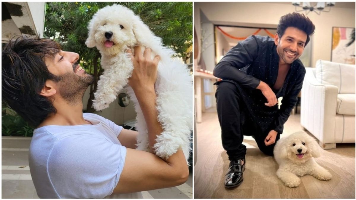 Kartik Aaryan Pet: कार्तिक आर्यन अपने डॉगी कटोरी के बर्थडे पर हुए ...