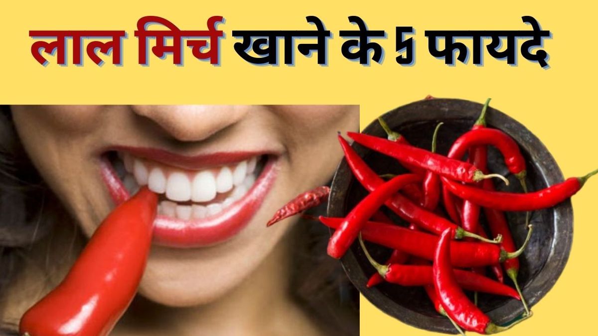 Red Chilli Benefits: बड़े काम की है लाल मिर्ची, शरीर को पहुंचाती है ये ...