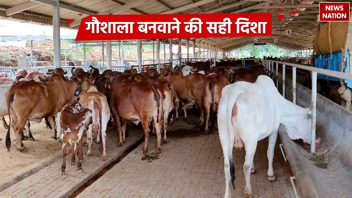 Vastu Tips For Gaushala: गौशाला बनवाने की सही दिशा क्या है, जानें इसके ...