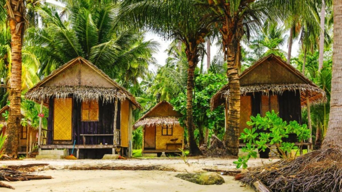 Nariyal Tree Vastu: घर की इस दिशा में गलती से भी न लगाएं नारियल का पेड़ ...