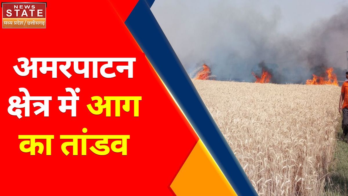 Madhya Pradesh News : Amarpatan में गोरसरी पहाड़ के जंगलों में लगी आग ...