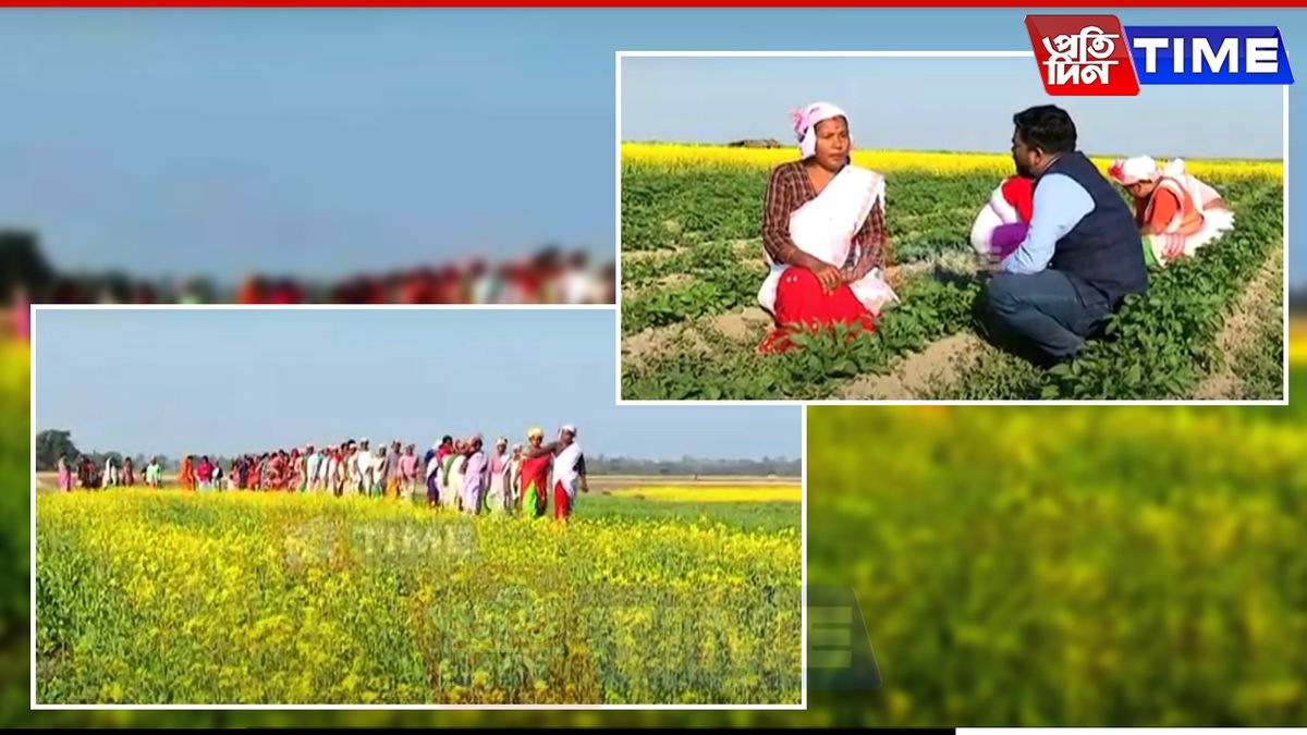 Women Farmers in Assam Cultivate Success with ₹1.40 Crore Revenue
