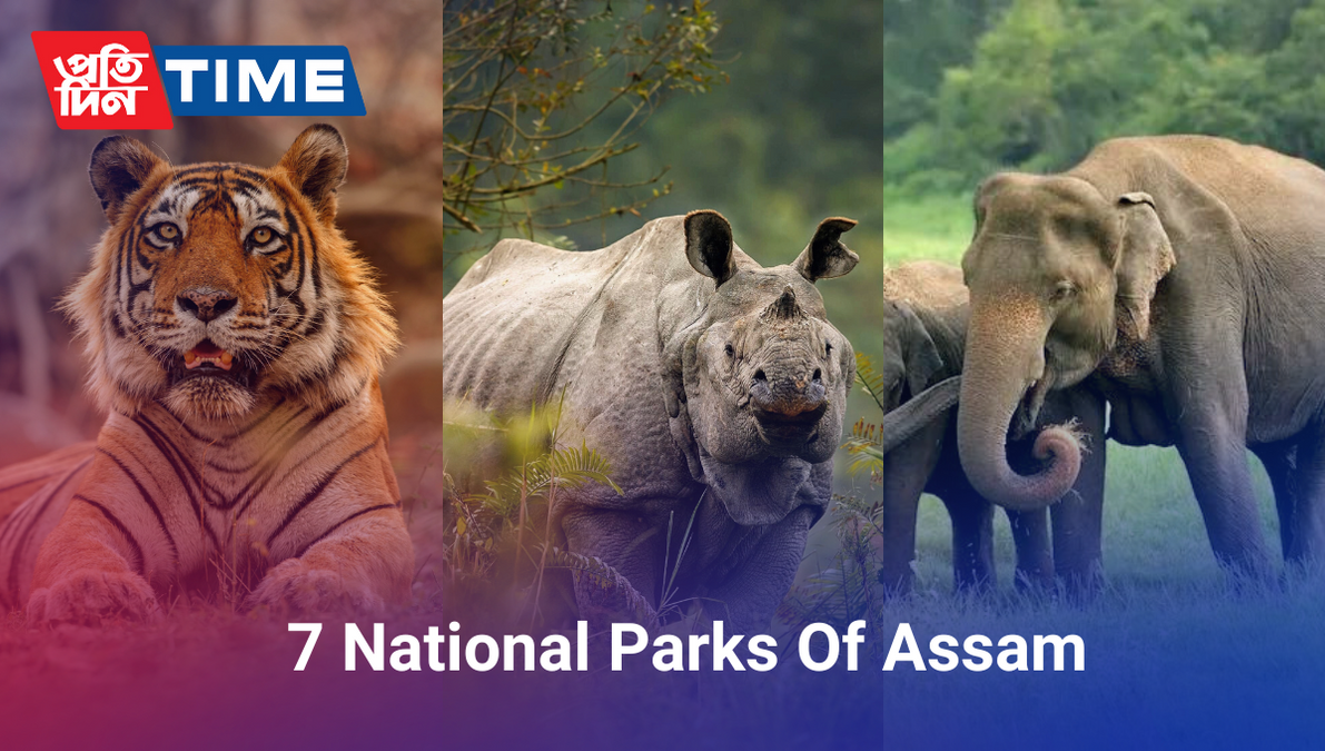7 Famous National Parks in Assam You Must Visit for a Wild Adventure