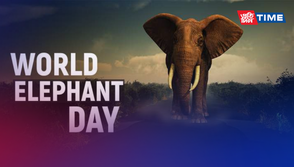 World Elephant Day: Honoring the Majesty and Conservation of Earth's ...