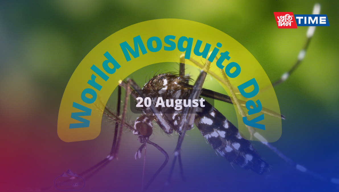 World Mosquito Day 2023: Exploring the Date, Historical Importance, and ...