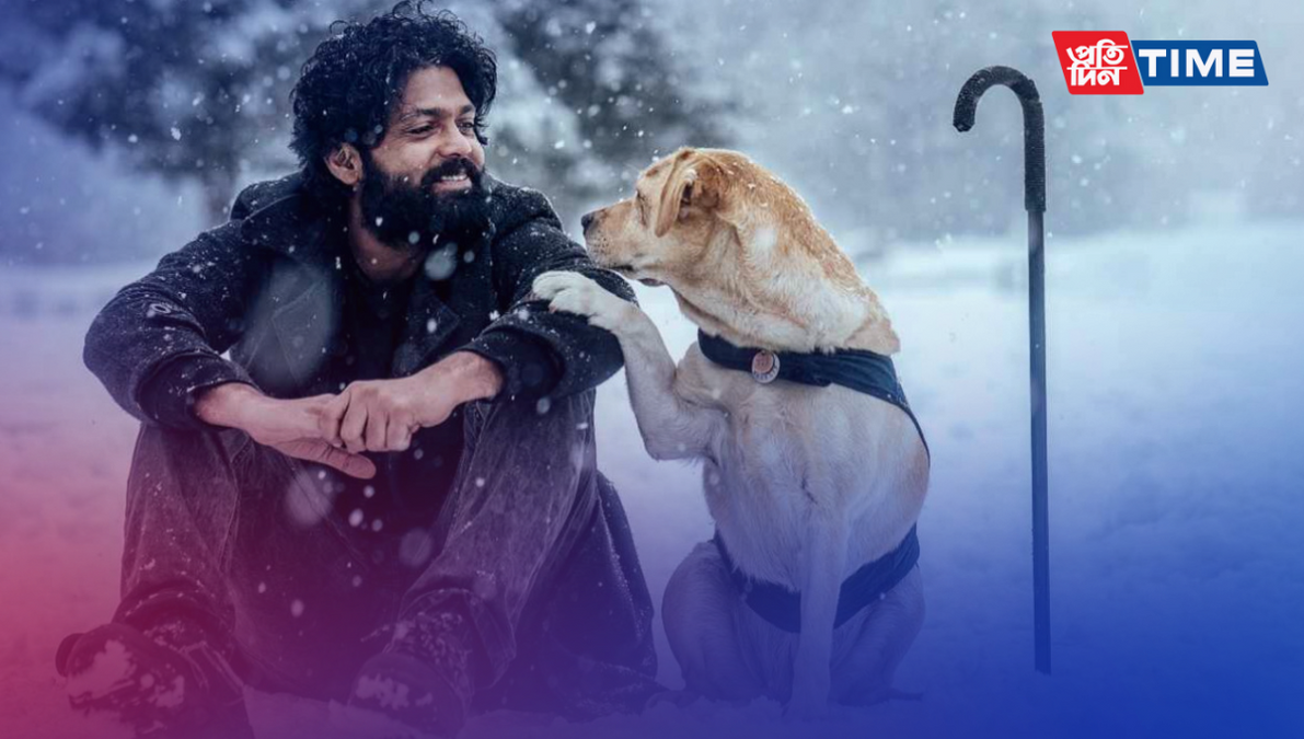 The Top 20 Dog Movies for Every Canine Lover