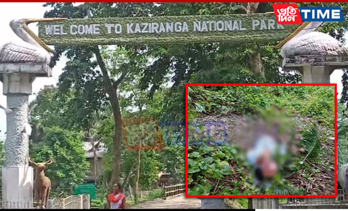 Poacher Shot Dead in Kaziranga National Park, Two Others Absconding
