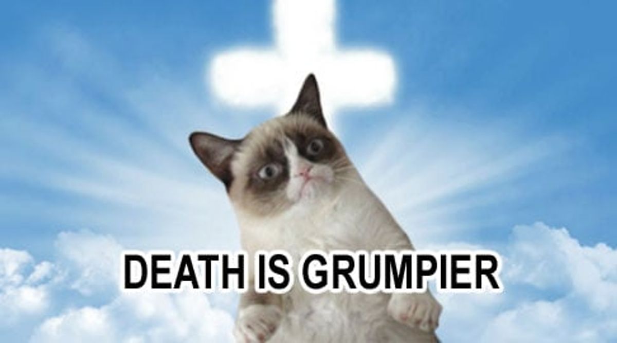 Grumpy Cat dies at the age of 7