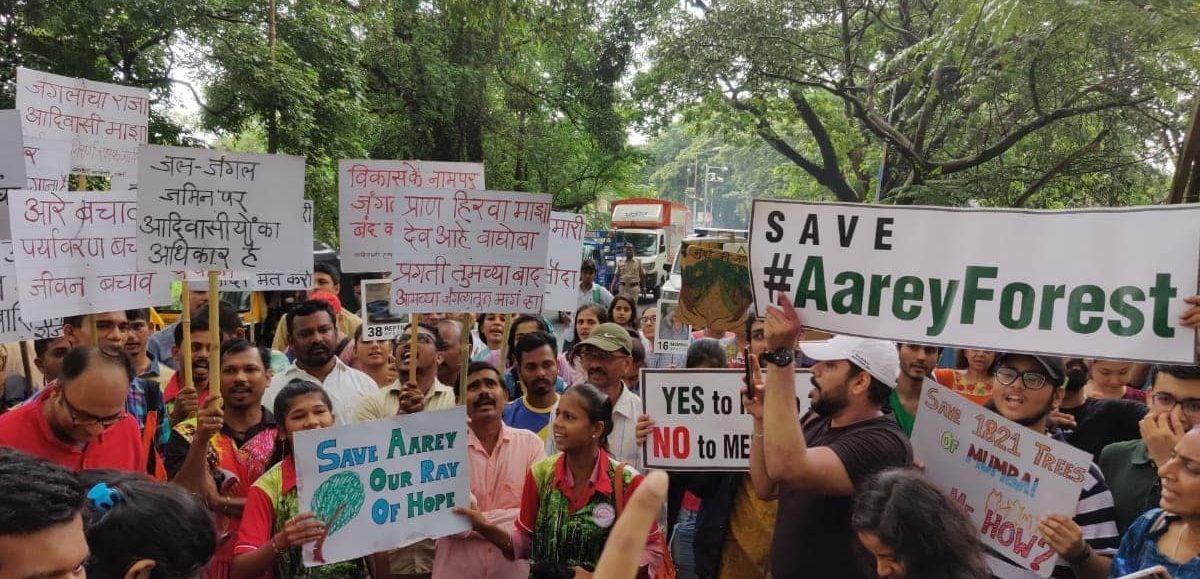 Mumbai’s 800 Acres Aarey Declared Forest