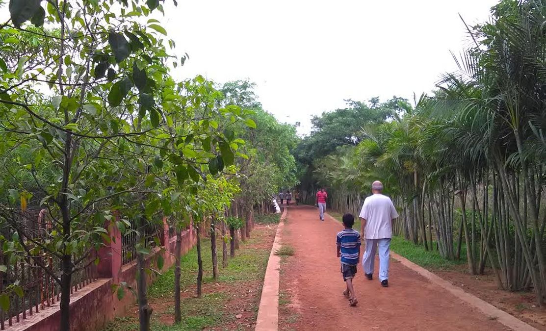 Odisha govt saved 700 trees by switching over to paperless