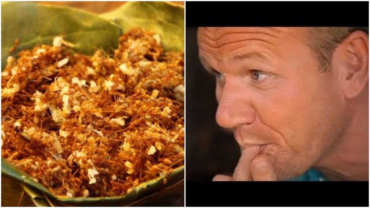 Gordon Ramsay impressed by fiery red-ant chutney savoured by Odisha ...