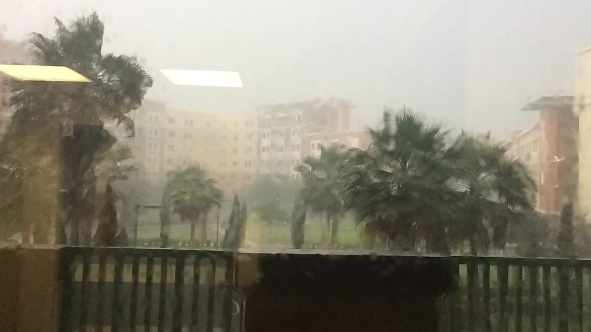 Odisha Weather Alert Thundershower Lightning Likely To Occur In These
