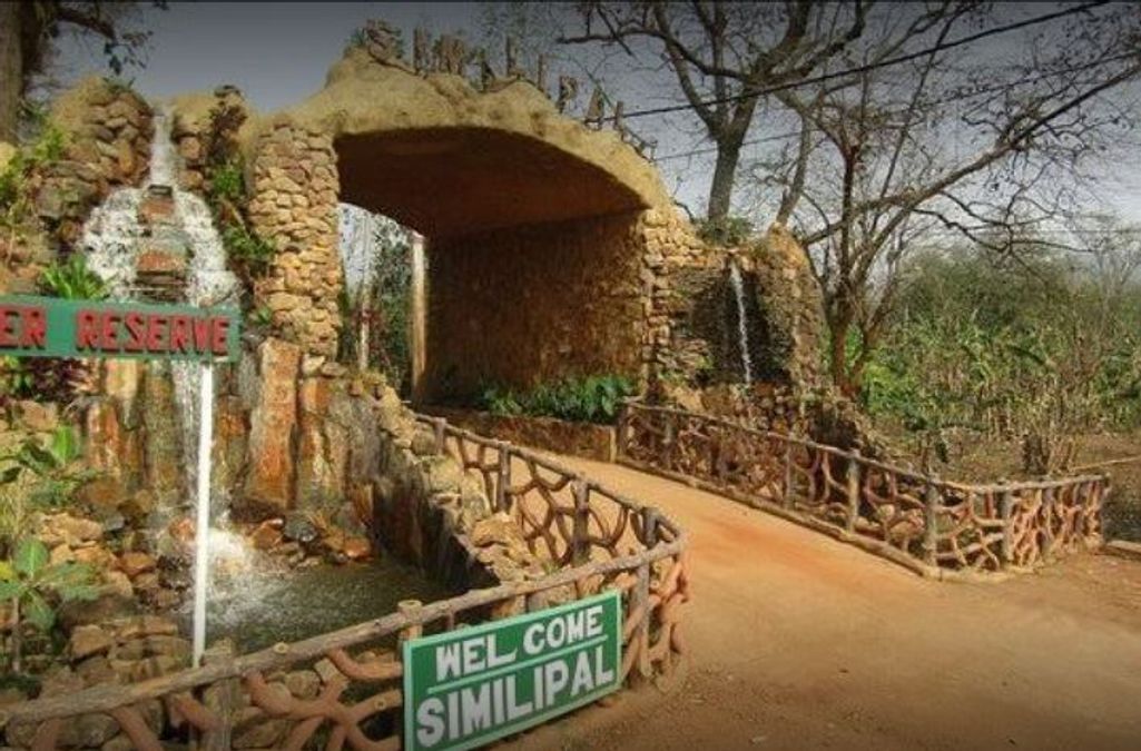 Similipal National Park reopens for tourists; Know about Entry Timing ...