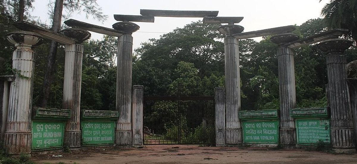 Union Education Minister’s missive to Odisha CM for revival of ...