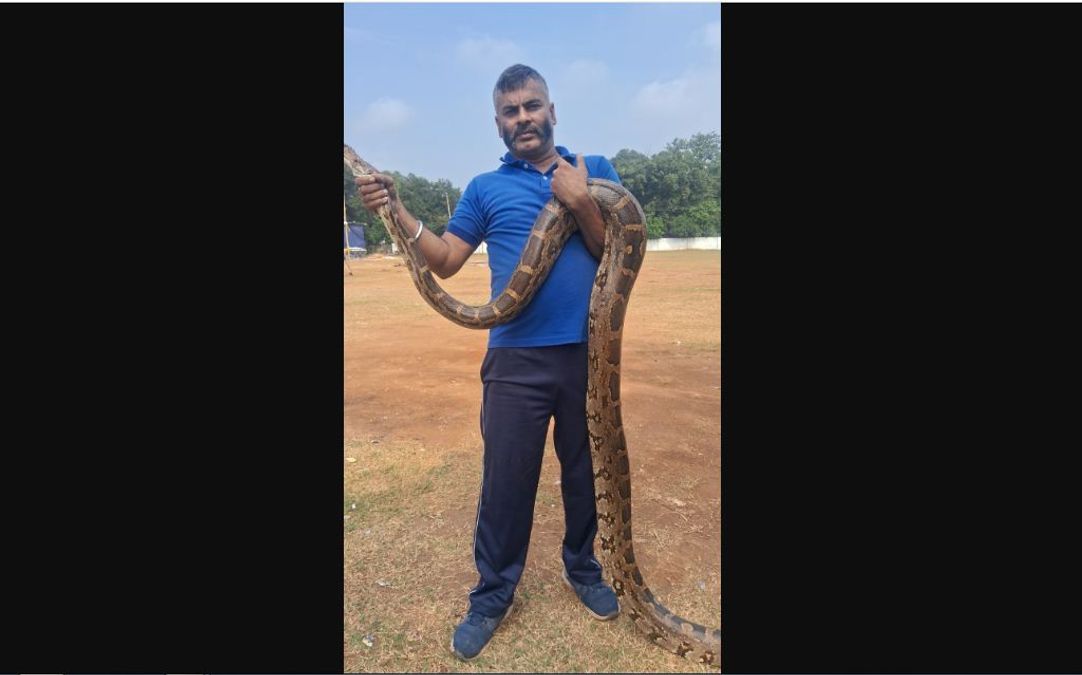 12-foot-long python slithers into SUV bonnet in Odisha’s Steel City ...