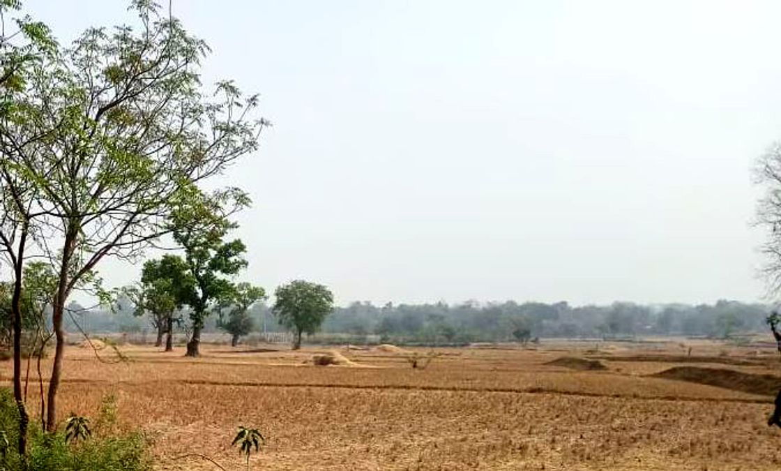 Cabinet nod for amendment to Odisha Government Land Settlement Rules-1983 Cabinet nod for amendment to Odisha Government Land Settlement Rules-1983