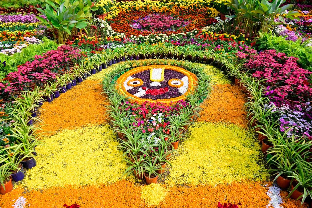 (In Pics) State-level flower show in Odisha capital a treat for your eyes.