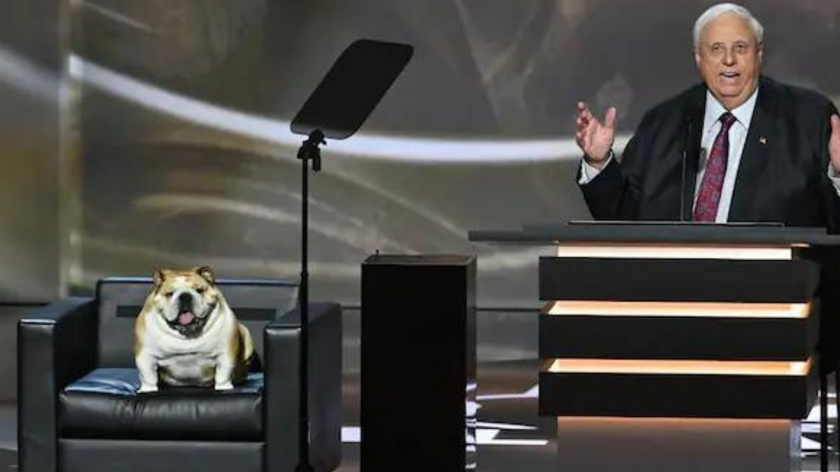 Meet Babydog, English Bulldog & Special Guest At US Republican Meet