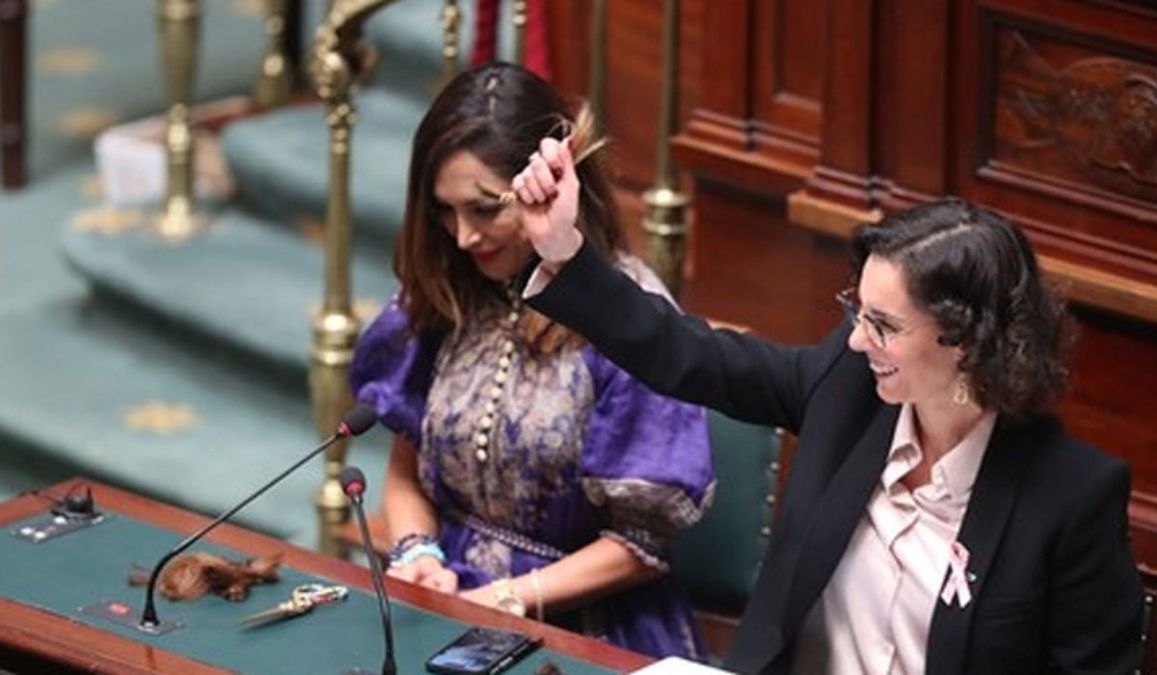 Who Is Darya Safai? Iranian-Belgian Diplomat Cuts Hair In Parliament